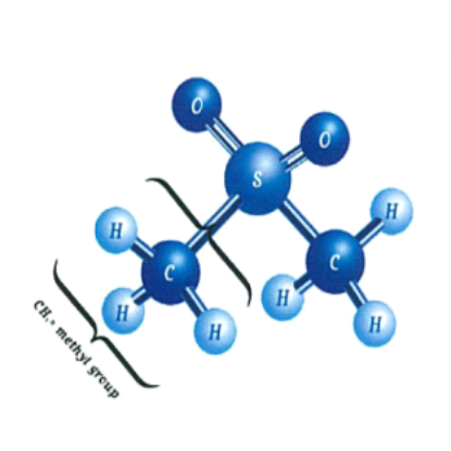 Lung Function | Nutr8deli